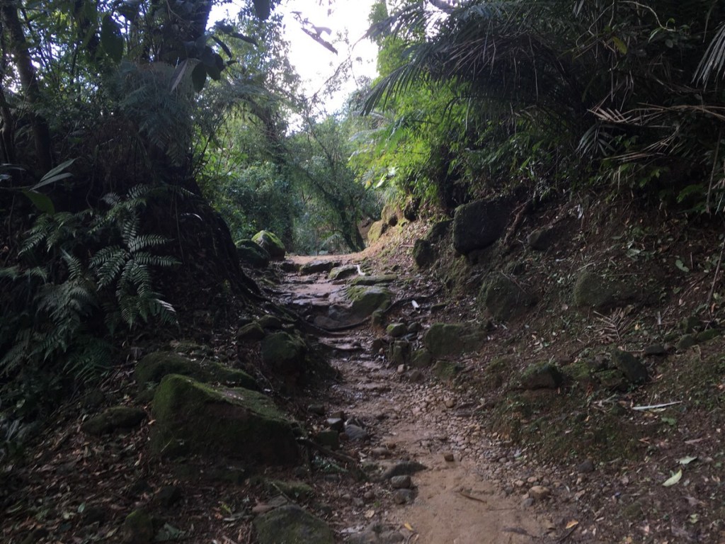 SANDIAOLING WATERFALL TRAIL (三貂嶺瀑布步) | Taiwan Trails and Tales