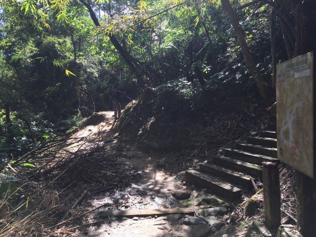 SANDIAOLING WATERFALL TRAIL (三貂嶺瀑布步) | Taiwan Trails and Tales