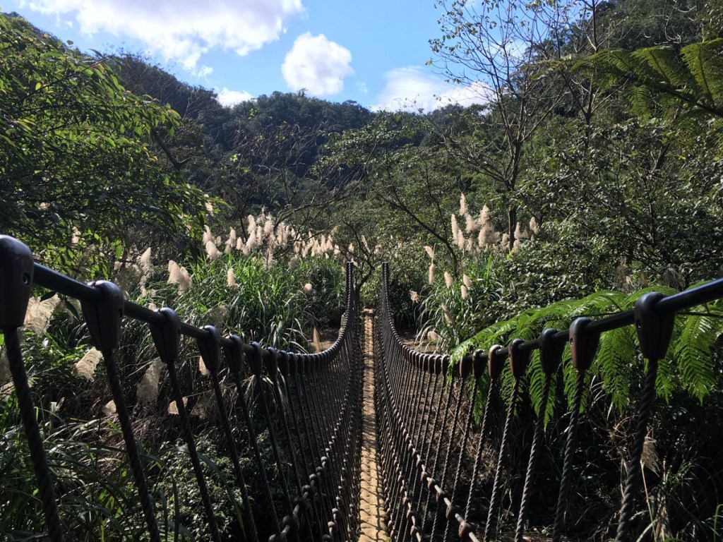 SANDIAOLING WATERFALL TRAIL (三貂嶺瀑布步) | Taiwan Trails and Tales