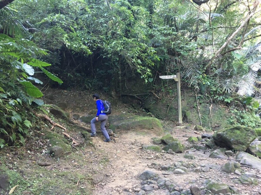 SANDIAOLING WATERFALL TRAIL (三貂嶺瀑布步) | Taiwan Trails and Tales