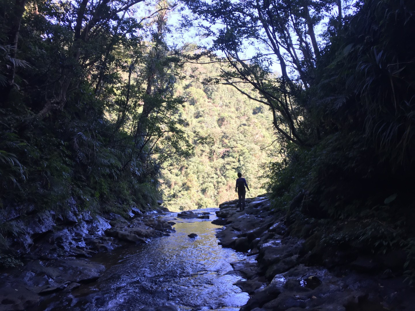 SANDIAOLING WATERFALL TRAIL (三貂嶺瀑布步) | Taiwan Trails and Tales
