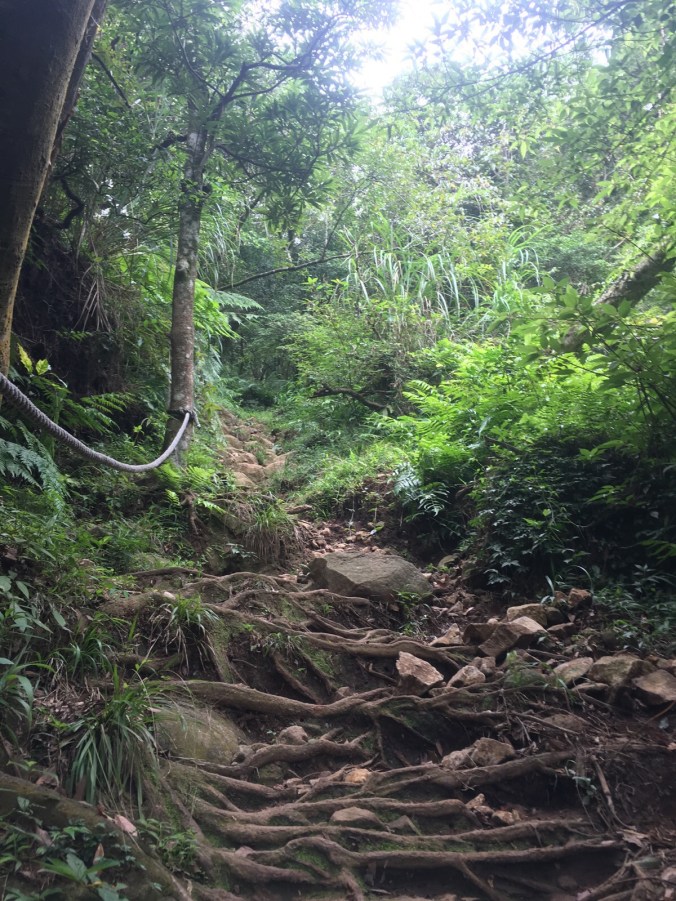 MOUNT DATUN MULTI PEAK TRAIL (大屯主峰連峰步道) | Taiwan Trails and Tales