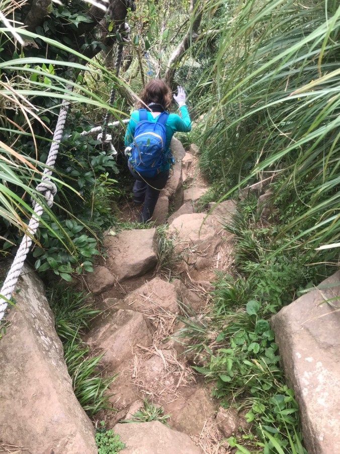 MOUNT DATUN MULTI PEAK TRAIL (大屯主峰連峰步道) | Taiwan Trails and Tales