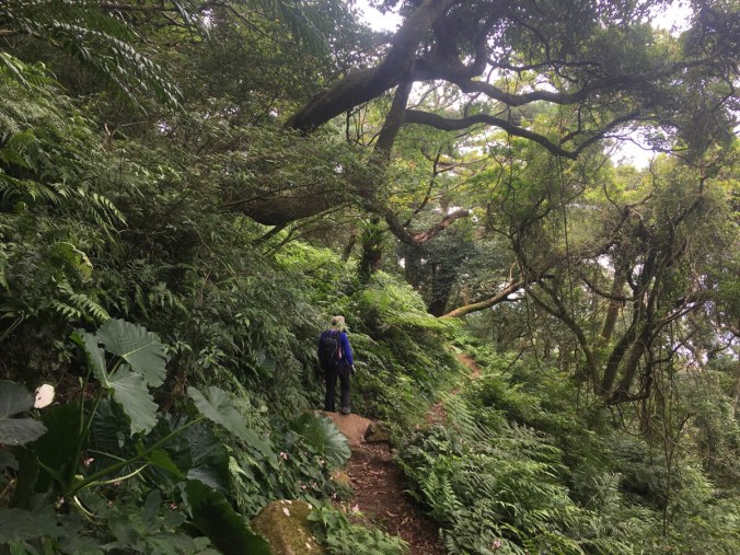MOUNT DATUN MULTI PEAK TRAIL (大屯主峰連峰步道) | Taiwan Trails and Tales