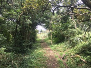 MOUNT DATUN MULTI PEAK TRAIL (大屯主峰連峰步道) | Taiwan Trails and Tales