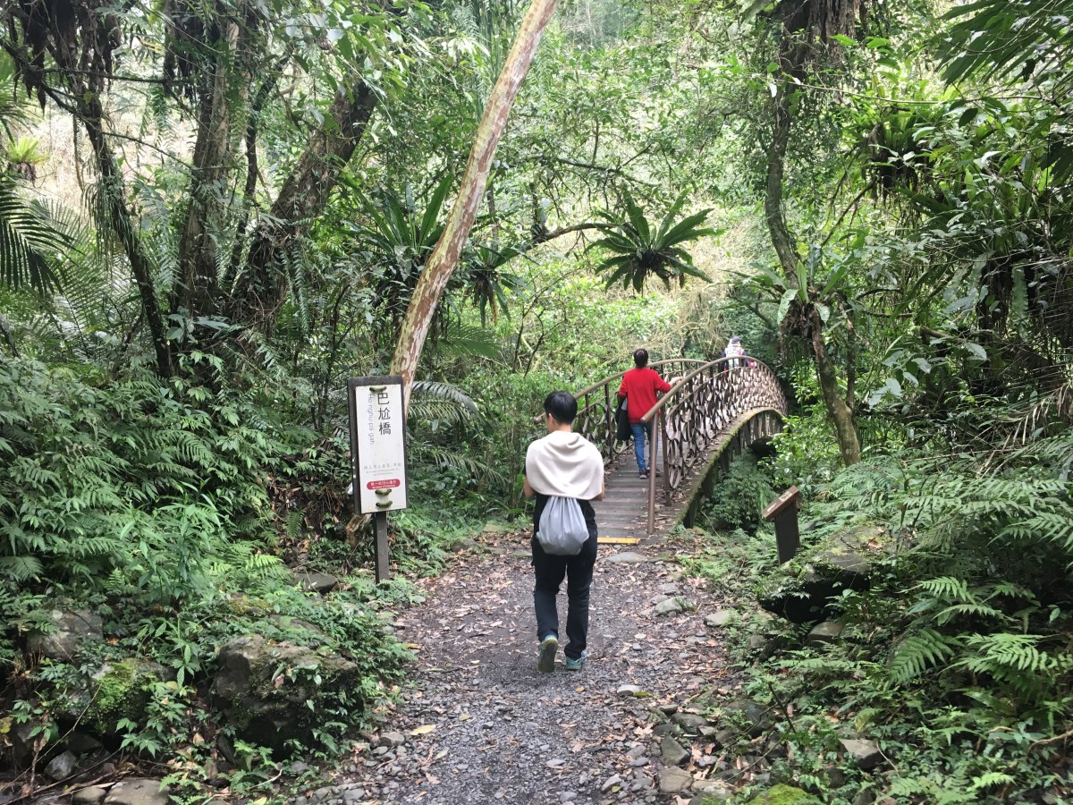JIU LIAO CREEK TRAIL TO GABA WATERFALL (九寮溪步道/戈霸瀑布) | taiwan trails and ...