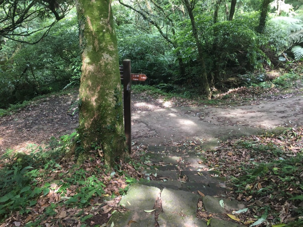 TAIPEI GRAND HIKE – ERZIPING TO XIAOYOUKENG VIA DATUN SHAN (北區稜線大縱走 ...