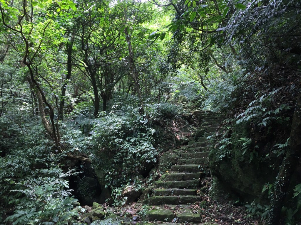 TAIPEI GRAND HIKE – FENG GUI ZUI TO XIAOYOUKENG (北區稜線大縱走 – 風櫃嘴/頂山/石梯嶺山 ...