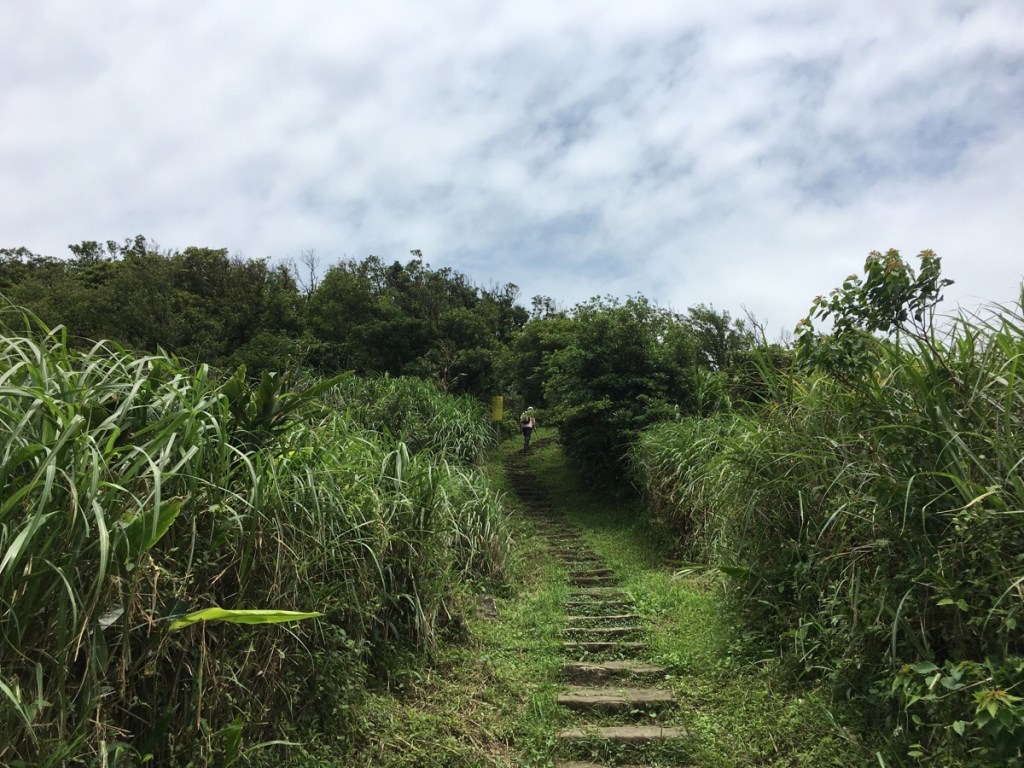 TAIPEI GRAND HIKE – FENG GUI ZUI TO XIAOYOUKENG (北區稜線大縱走 – 風櫃嘴/頂山/石梯嶺山 ...