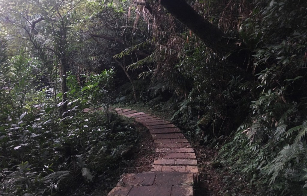 TAOYUAN VALLEY TRAIL (桃源谷步道) | Taiwan Trails and Tales