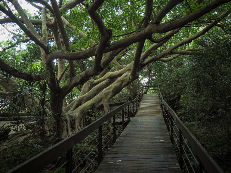 ZHISHANYAN STROLL (芝山岩) | Taiwan Trails and Tales
