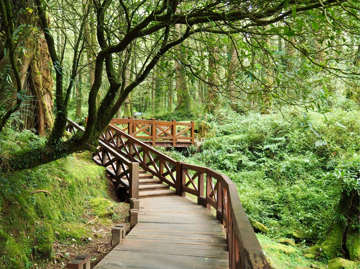 Taiwan Trails and Tales | a guide to get you out of the city and into ...
