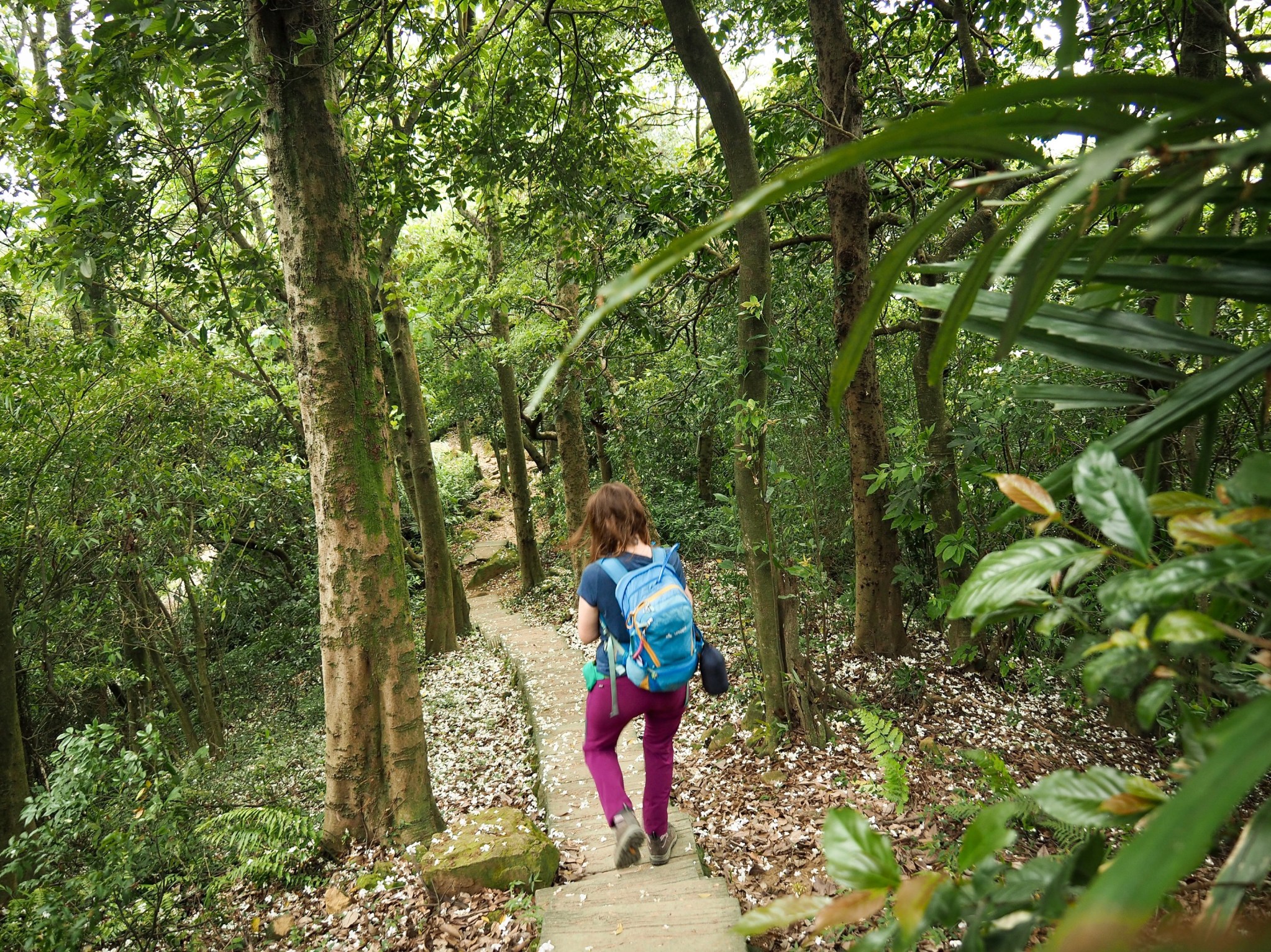 taiwan trails and tales | a guide to get you out of the city and into ...