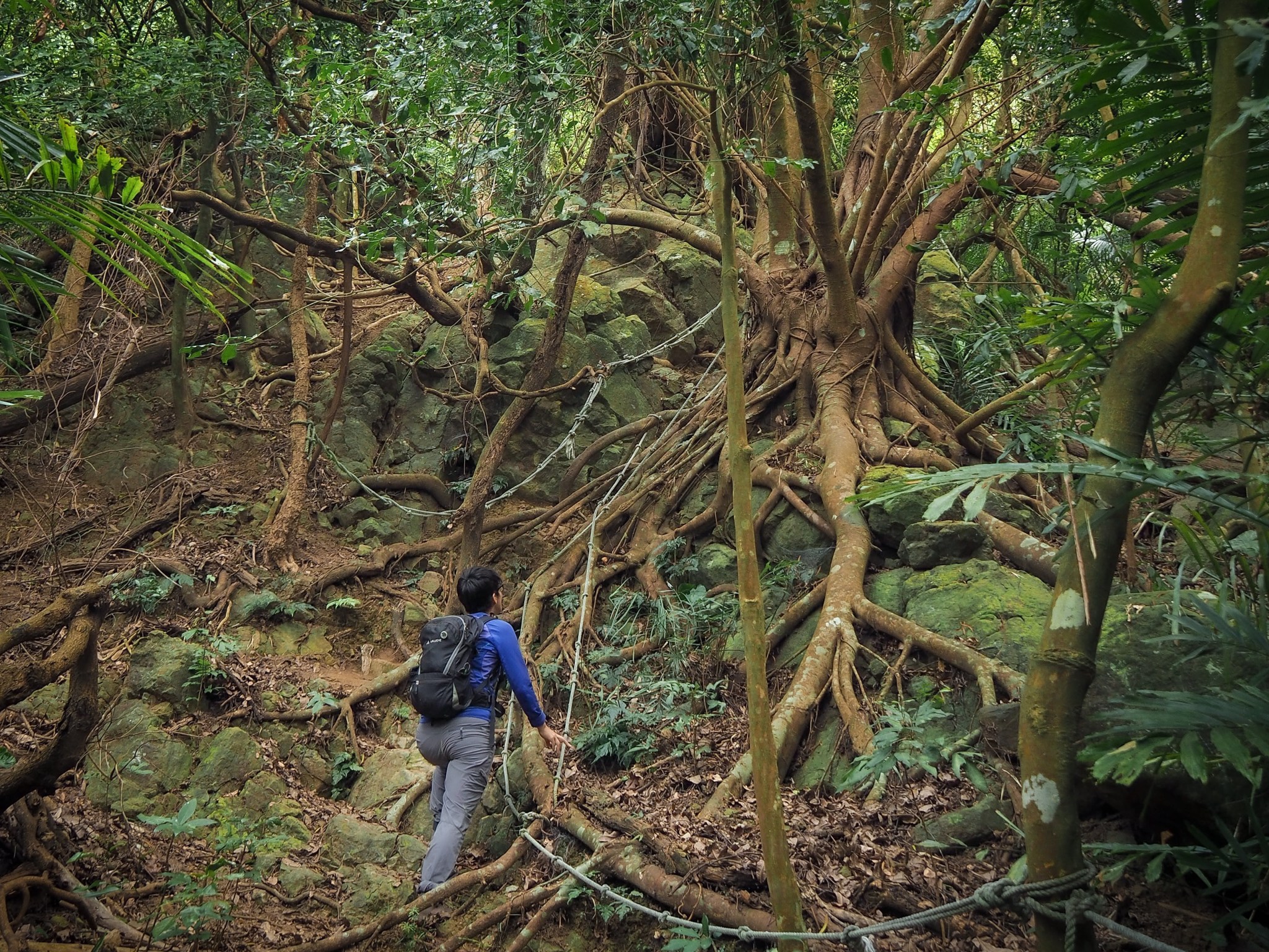 Taiwan Trails and Tales | a guide to get you out of the city and into ...
