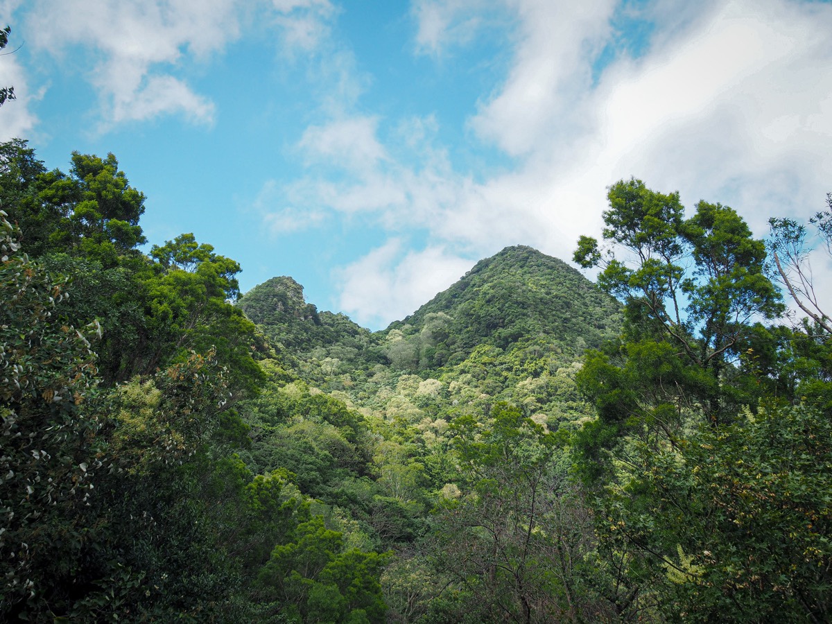 QINZI PEAK TRAIL (親子峰步道) | Taiwan Trails and Tales