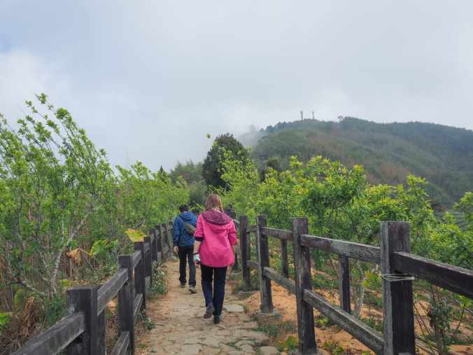 ERYANPING TEA TRAIL (二延平步道) | Taiwan Trails and Tales