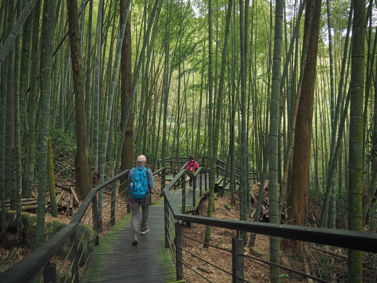 FENQI TRAIL (奮起步道) | Taiwan Trails and Tales