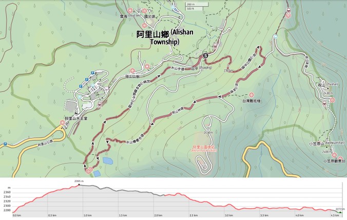 SHUISHAN GIANT TREE TRAIL (水山神木步道) | Taiwan Trails and Tales
