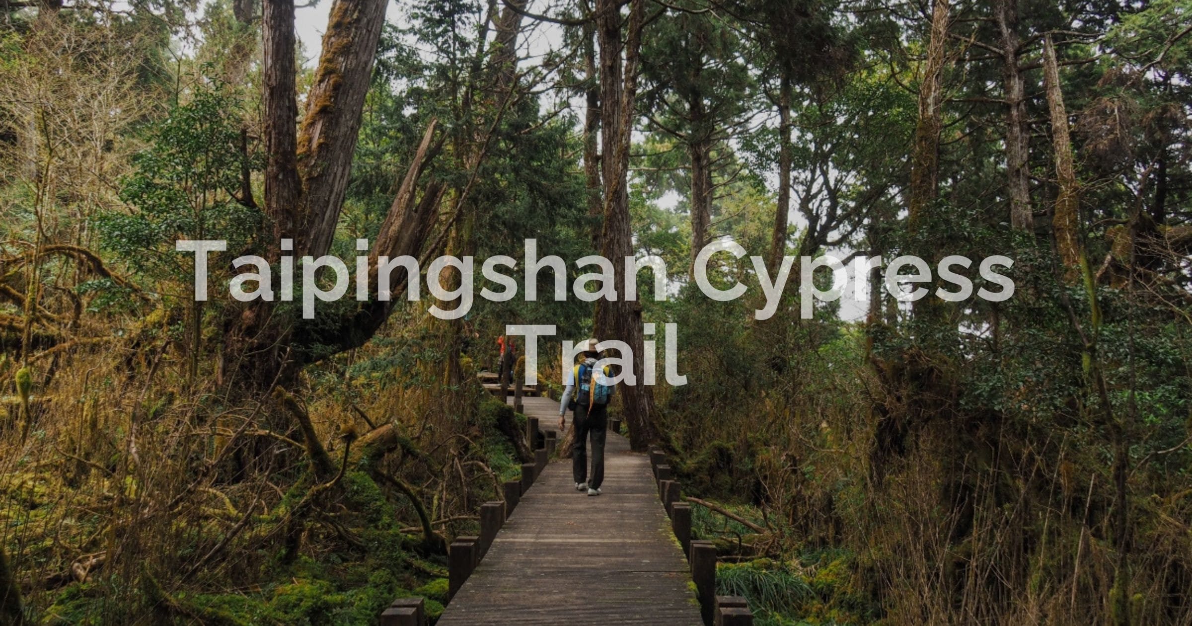 TAIPINGSHAN FOREST RECREATION AREA | Taiwan Trails and Tales