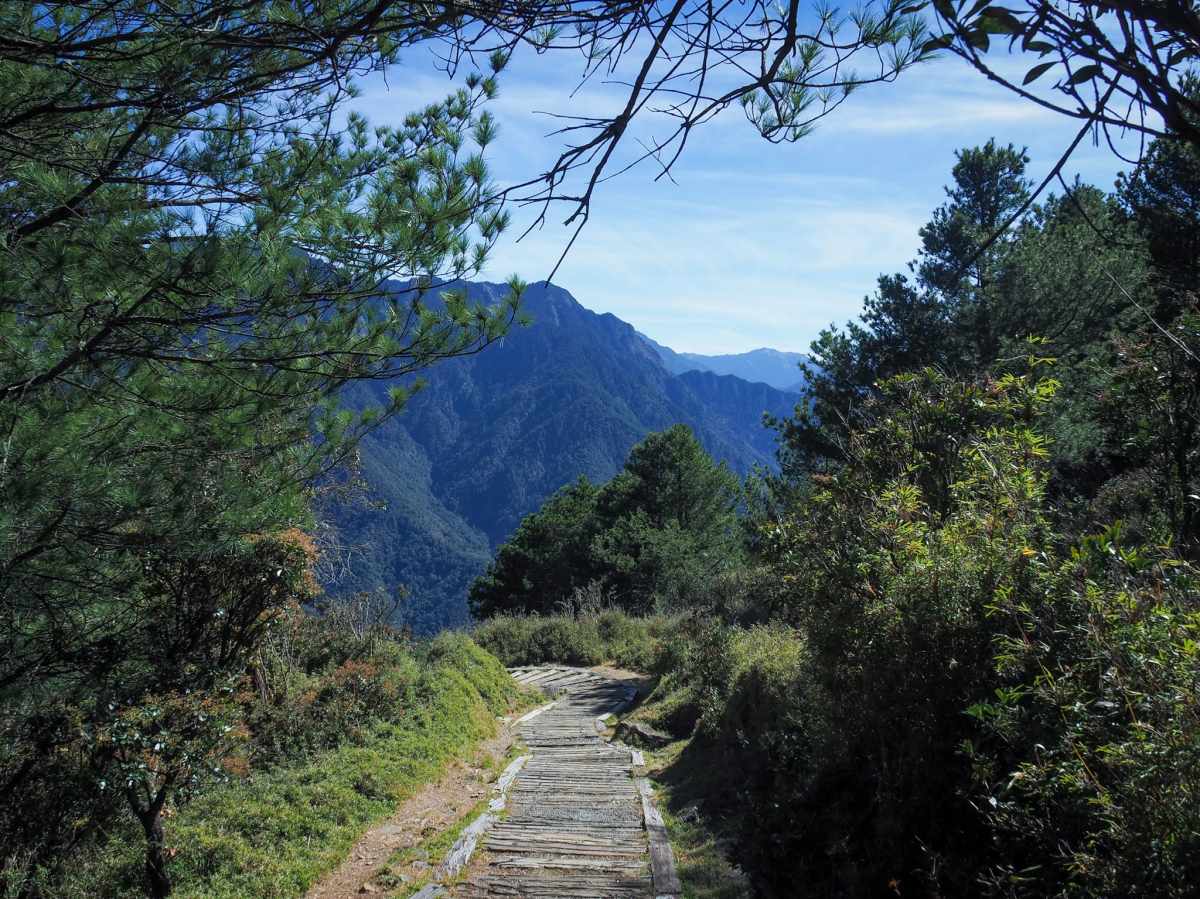 LULIN MOUNTAIN and LINZHI MOUNTAIN (鹿林山/林趾山) | Taiwan Trails and Tales