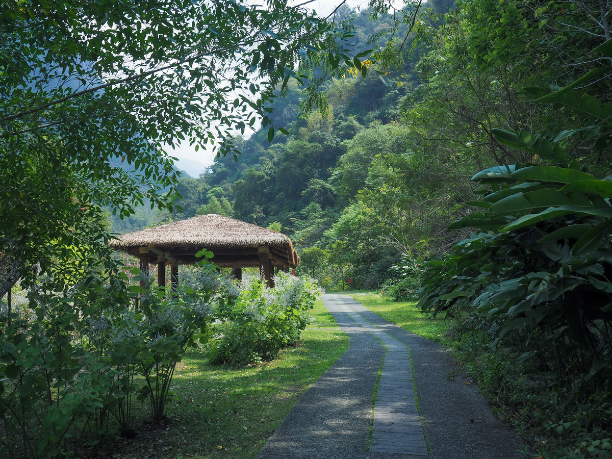 MOUNTAINS to SEA GREENWAY DAY 6 (山海圳國家級綠道D6) | Taiwan Trails and Tales