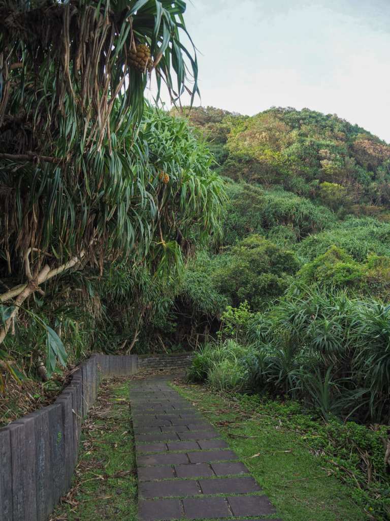 BITOUJIAO TRAIL (鼻頭角步道) | Taiwan Trails and Tales