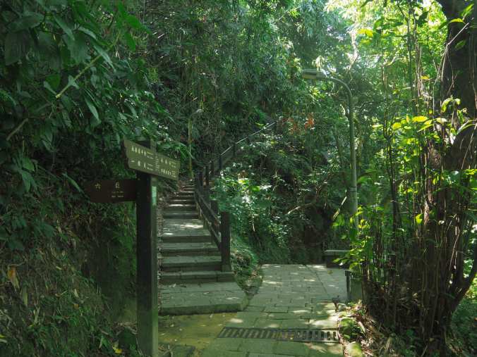 ELEPHANT MOUNTAIN (象山) | Taiwan Trails and Tales