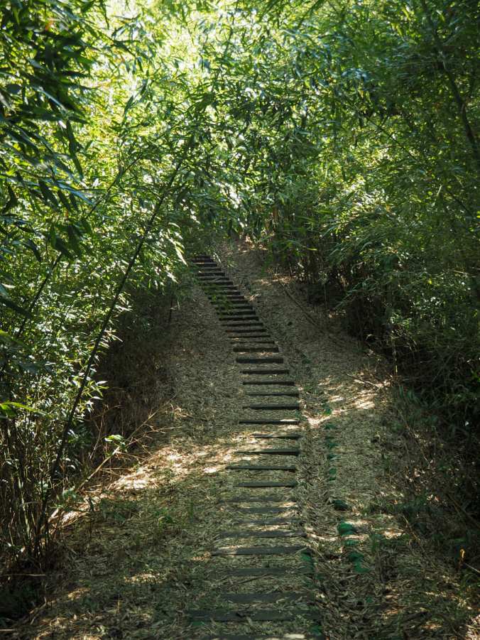EASY HIKES IN MIAOLI COUNTY | Taiwan Trails and Tales