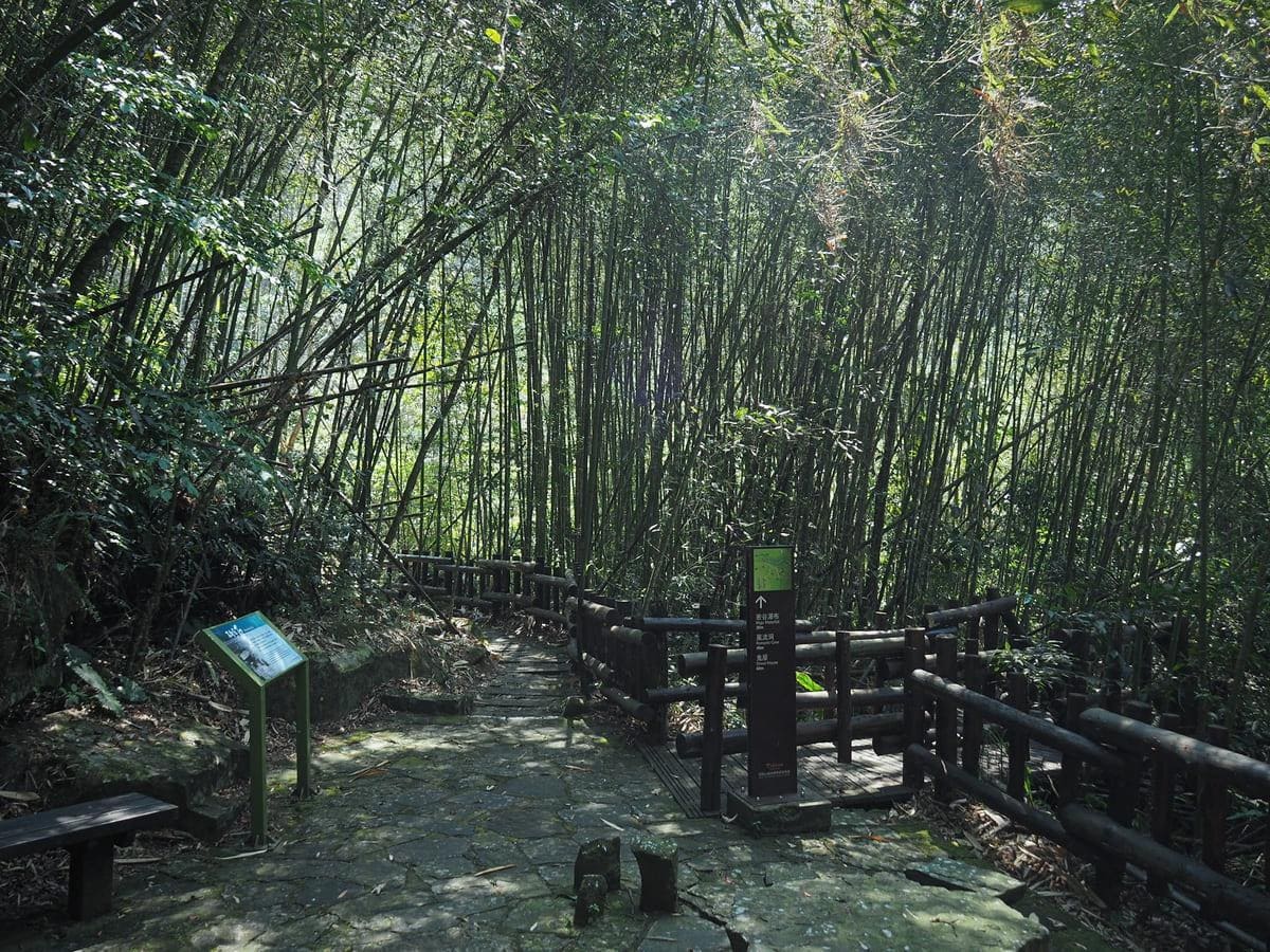 LIJIA ROMANTIC CAVE TRAIL (里佳風流洞步道) | Taiwan Trails and Tales