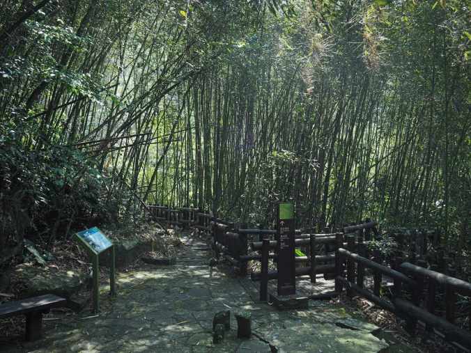 LIJIA ROMANTIC CAVE TRAIL (里佳風流洞步道) | Taiwan Trails and Tales