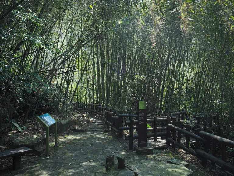 LIJIA ROMANTIC CAVE TRAIL (里佳風流洞步道) | Taiwan Trails and Tales