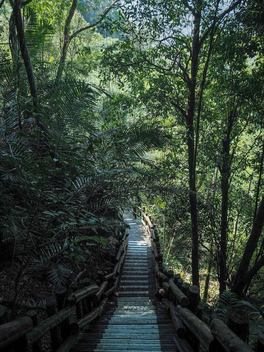 LIJIA ROMANTIC CAVE TRAIL (里佳風流洞步道) | Taiwan Trails and Tales