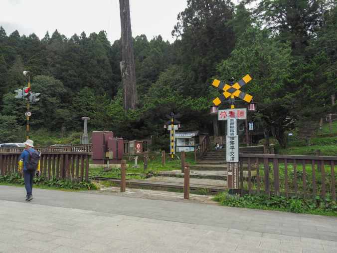SHUISHAN GIANT TREE TRAIL (水山神木步道) | Taiwan Trails and Tales