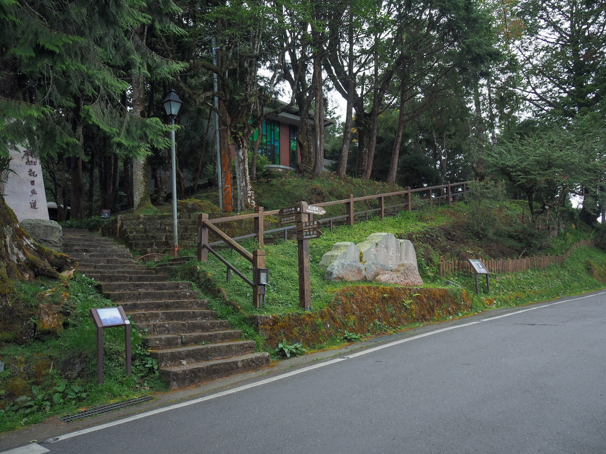 SHUISHAN GIANT TREE TRAIL (水山神木步道) | Taiwan Trails and Tales
